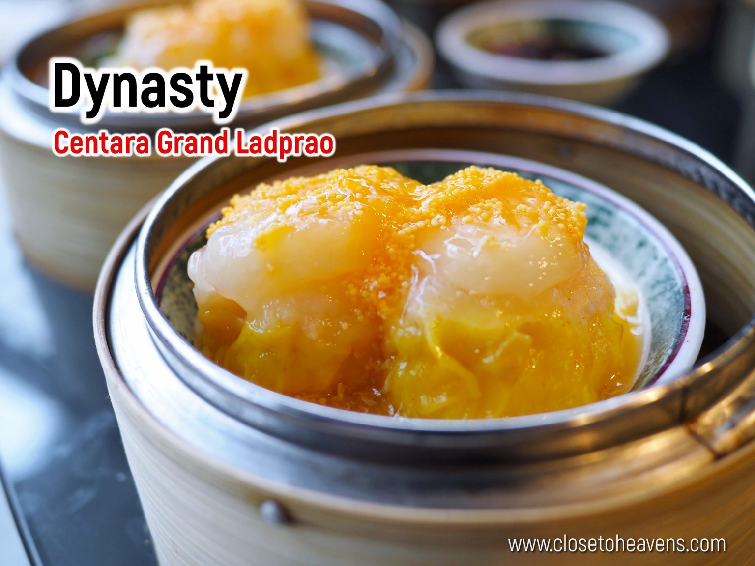 Dim Sum Buffet | Dynasty @ Centara Grand Ladprao - Close To Heaven